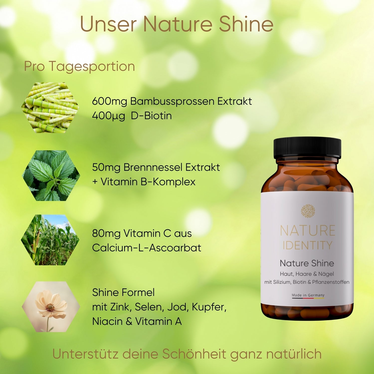 Nature Shine – Nature Identity